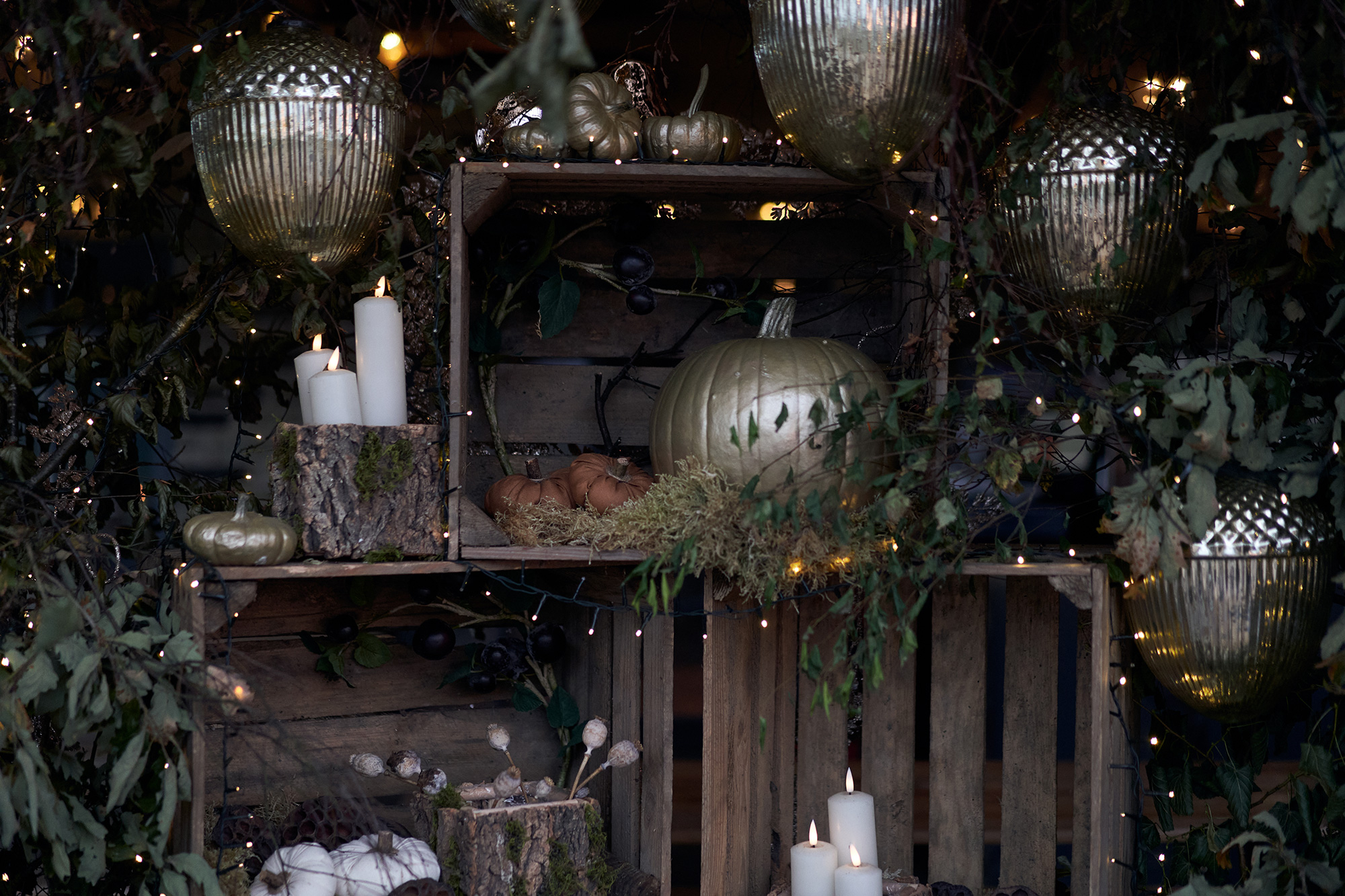 “We love animals and are a Dog-friendly pub.”